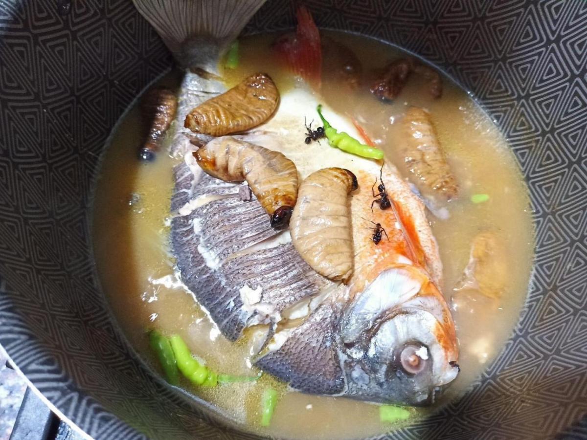 Cazuela amazónica | Recetas comida típica del Amazonas